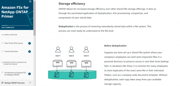 Amazon FSx for NetApp ONTAP Primer - Tutorials Dojo