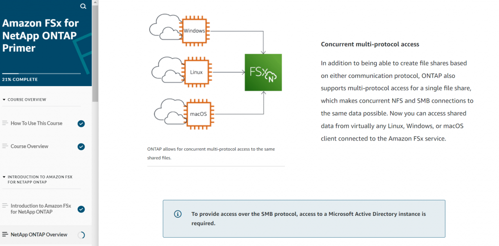 Amazon FSx for NetApp ONTAP Primer - Tutorials Dojo