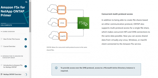 Amazon FSx for NetApp ONTAP Primer - Tutorials Dojo