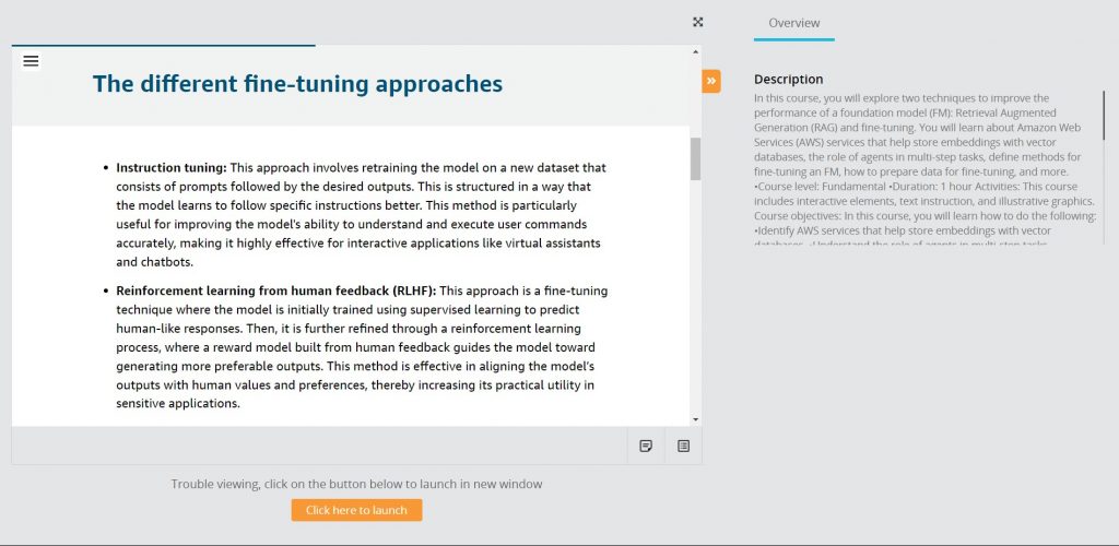 Optimizing Foundation Models - Tutorials Dojo