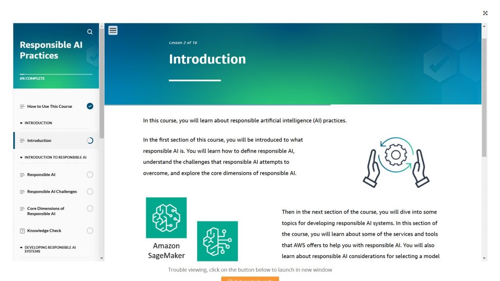 Responsible Artificial Intelligence Practices - Tutorials Dojo