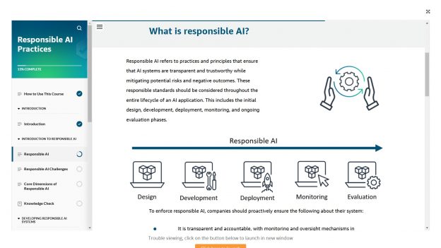 Responsible Artificial Intelligence Practices - Tutorials Dojo